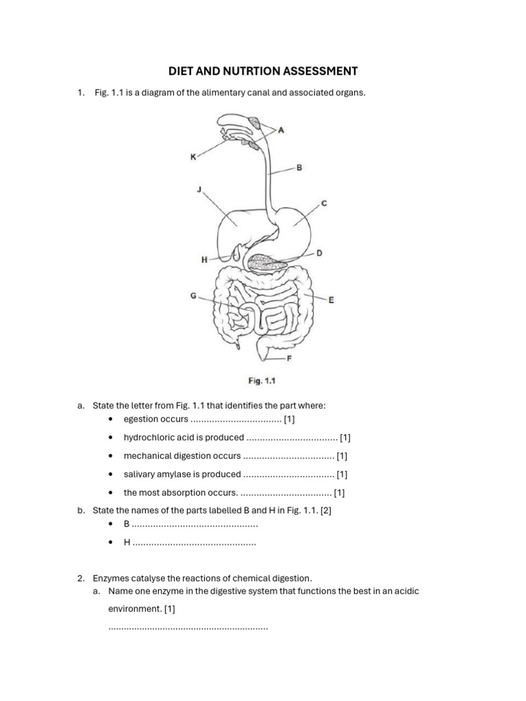 Diet and Nutrition Assessment | PDF | Digestion