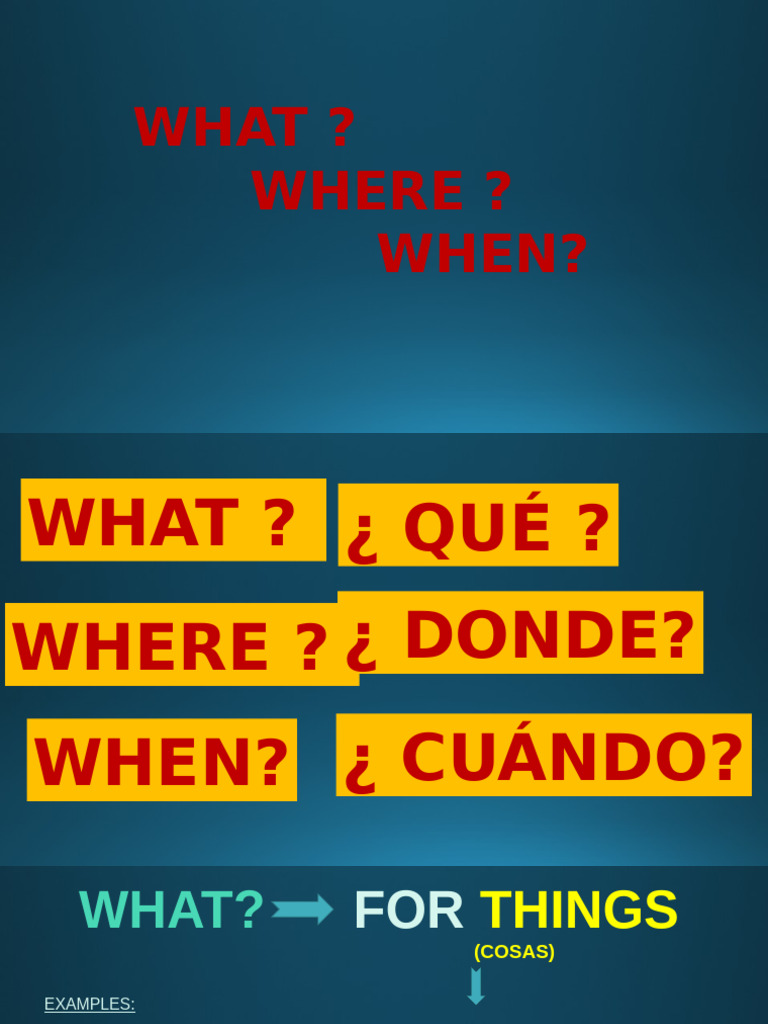 What Where When Practic e | PDF