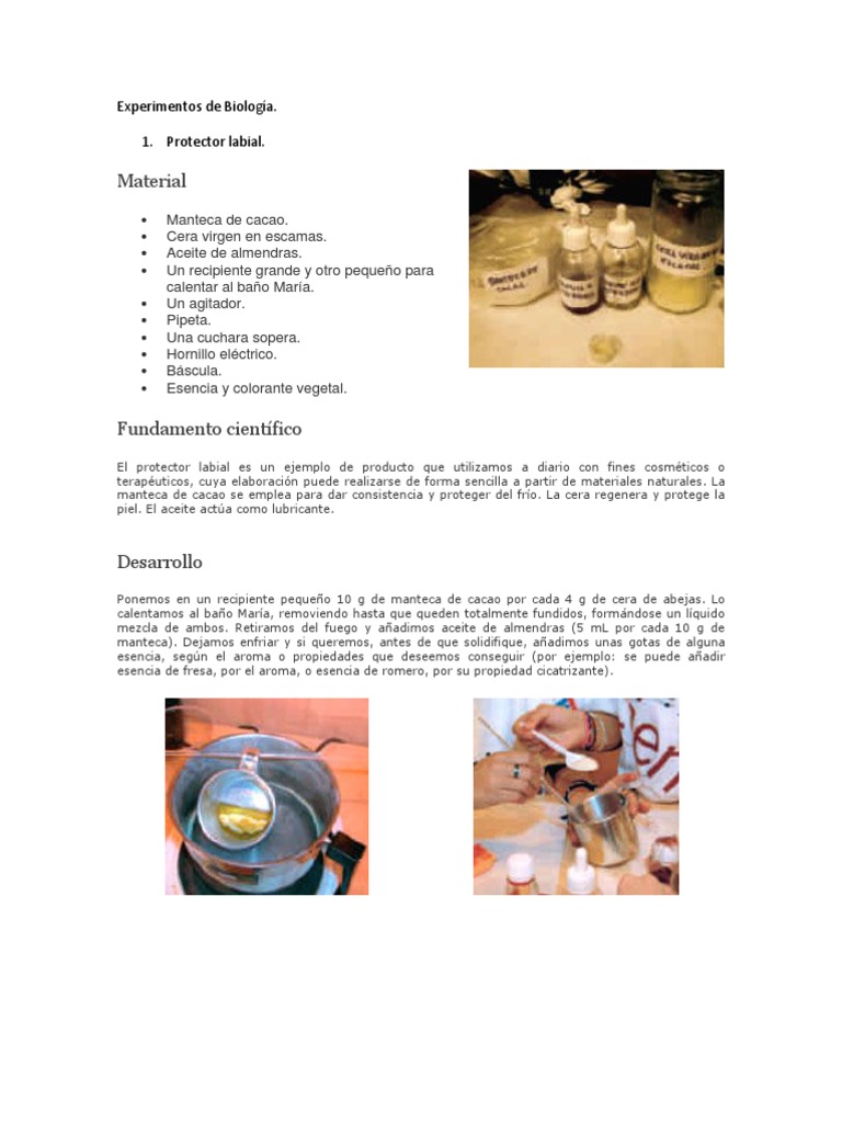 Experimentos de Biología | Botella | Cera