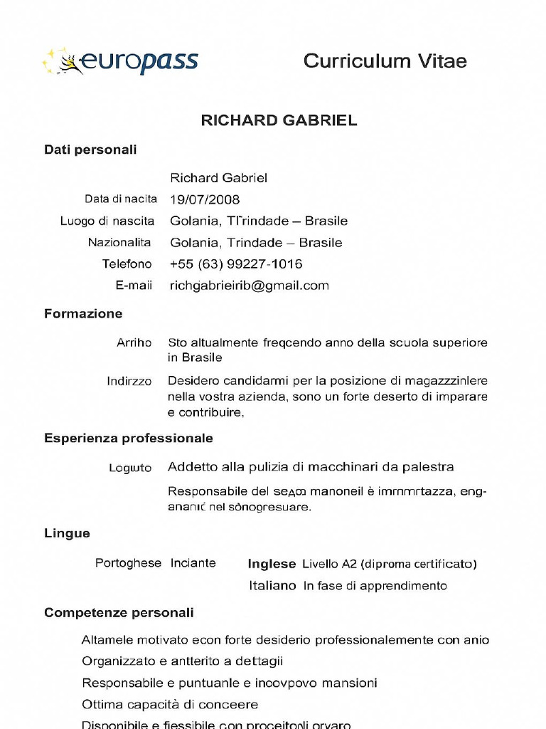CV Richard Gabriel | PDF