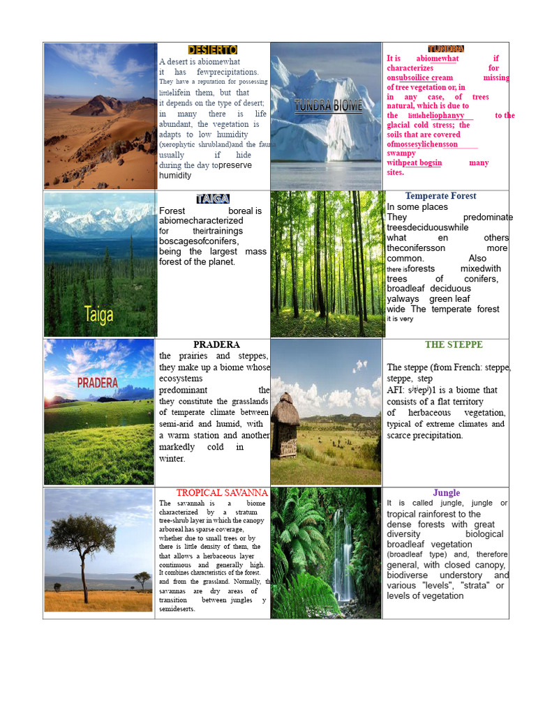 BIOMES.docx | PDF | Forests | Savanna
