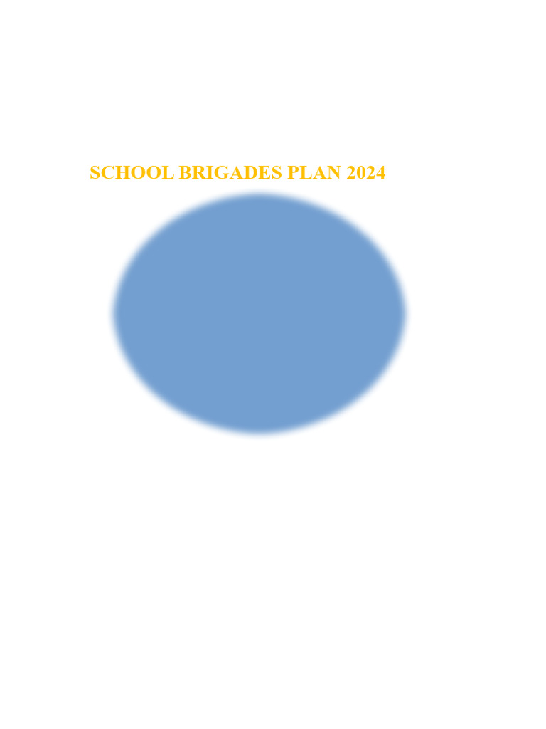 School Brigade Plan 2024 Overview | PDF | Brigadier