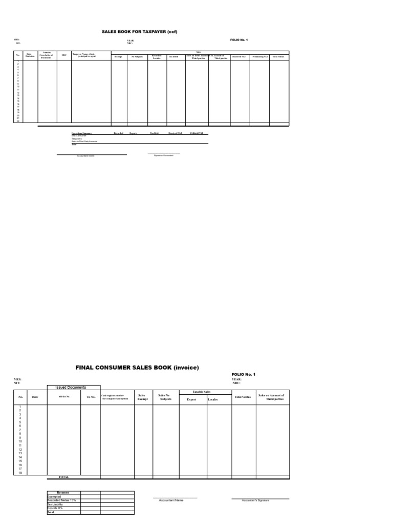 VAT formats | PDF | Value Added Tax | Debits And Credits
