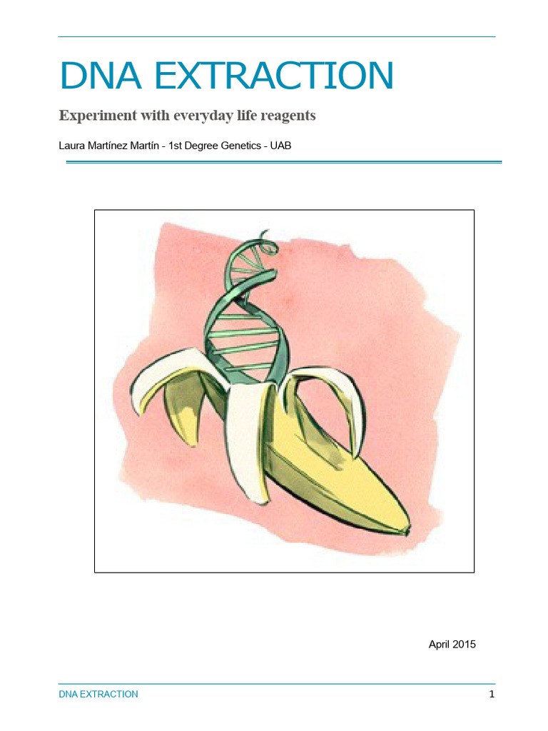 DNA Extraction - Banana | PDF | Cell Membrane | Dna