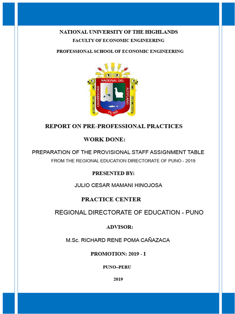 Professional Practice Report | PDF | Civil Service | Policy