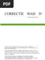Gids Voor Correctie en Interpretatie WAIS IV | PDF