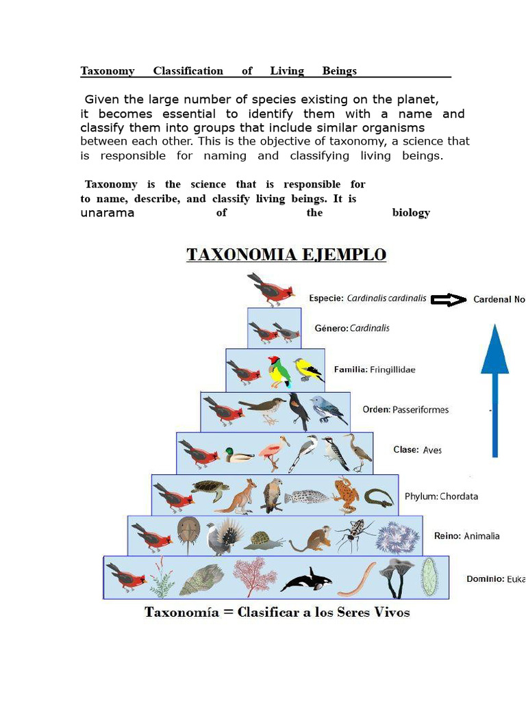 Taxonomy Classification of Living Beings | PDF | Taxonomy (Biology ...