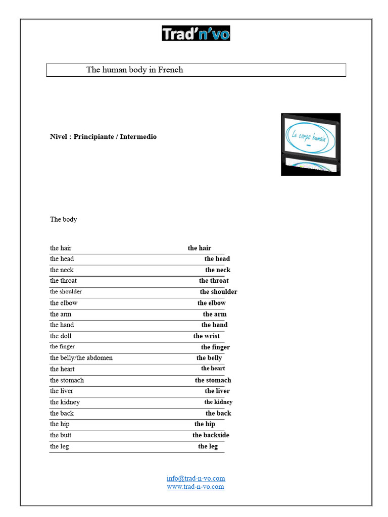 The Human Body in French | PDF