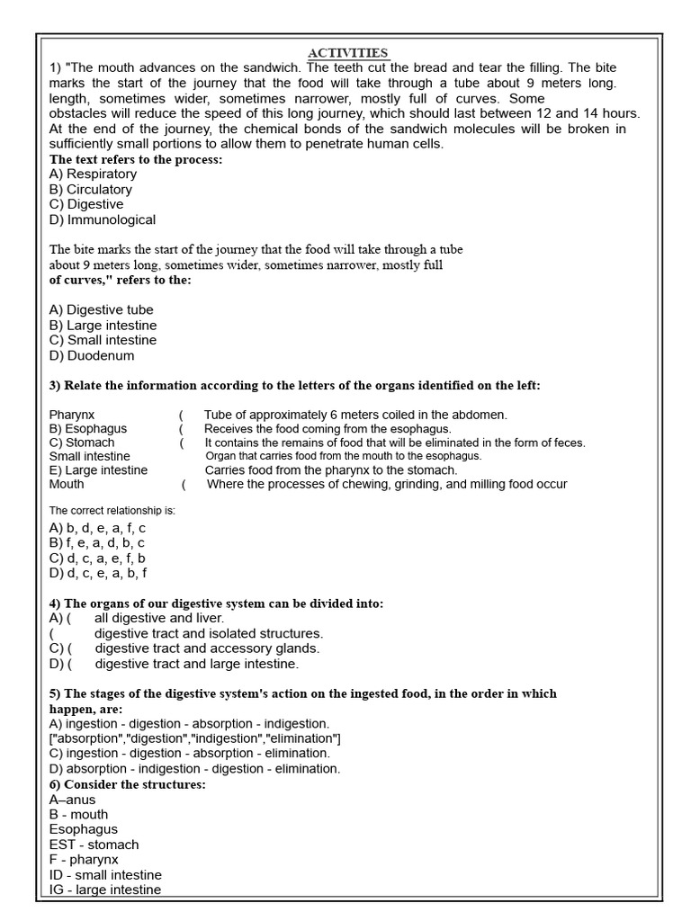 8th grade activities - digestive system | PDF | Digestion ...