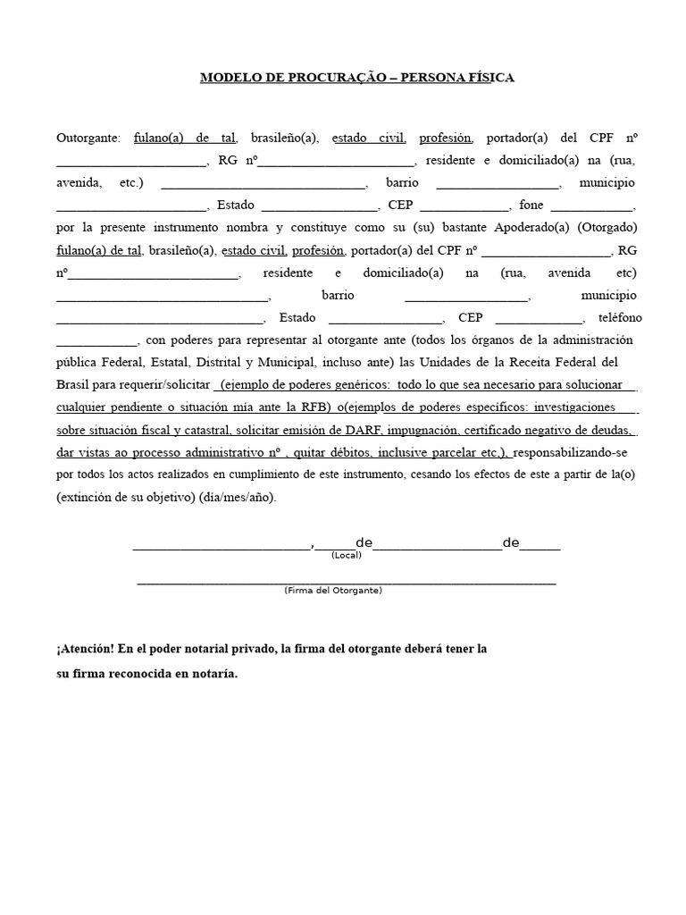 Modelo de Poder - Persona Física | PDF