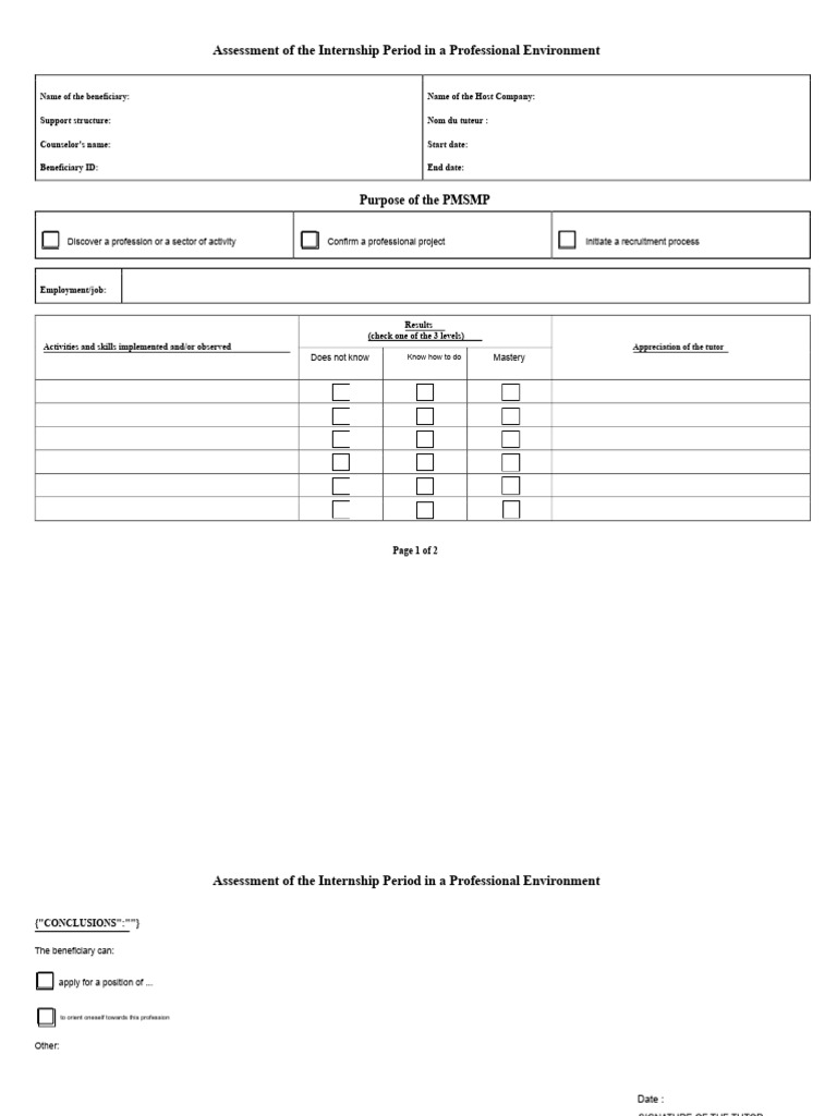 Internship Assessment Report Template | PDF