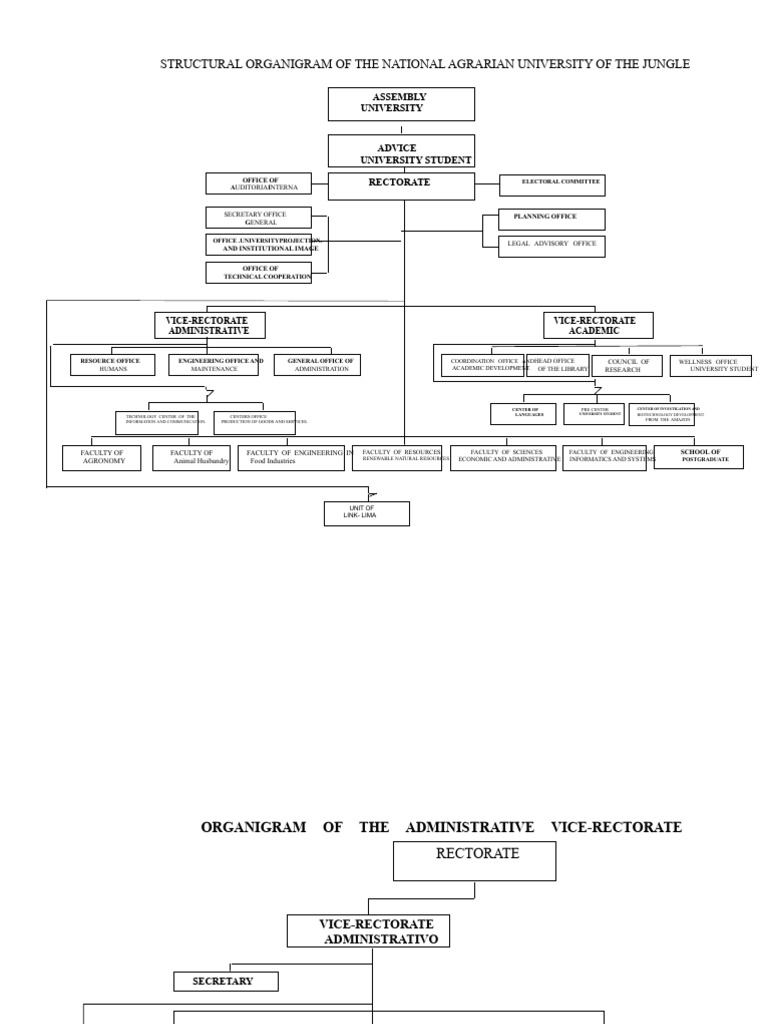 Current Organizational Chart. | PDF | Science