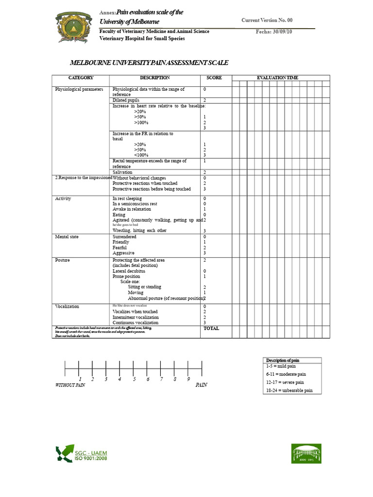 Melbourne Pain Scale | PDF | Pain | Medicine