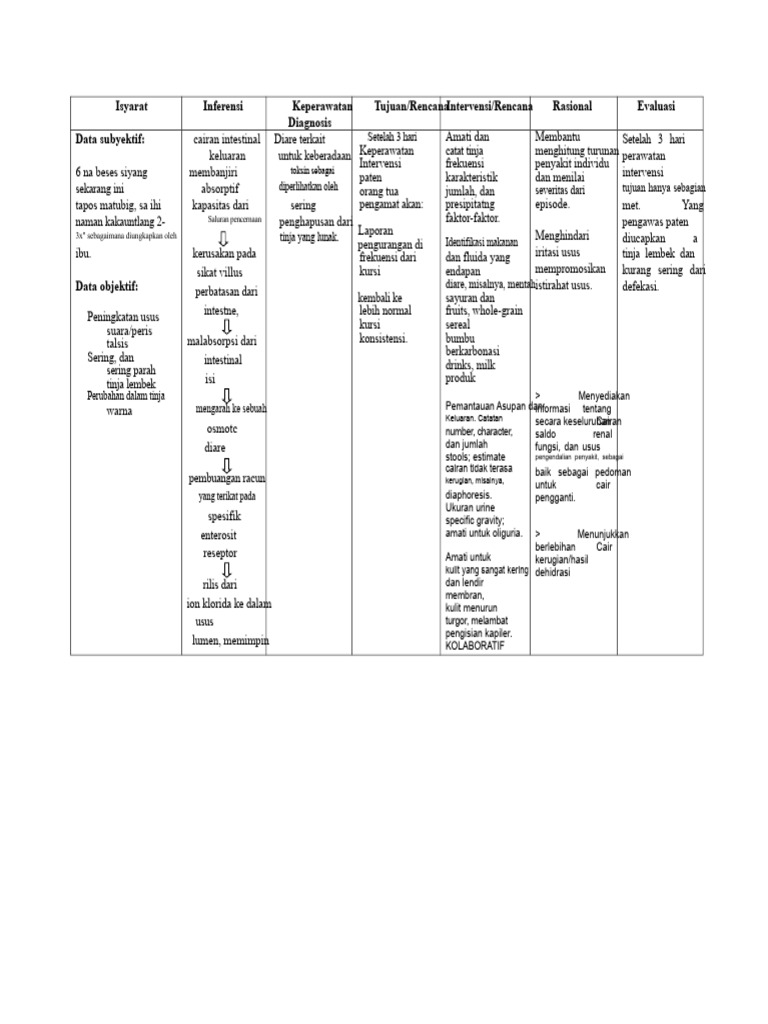 Rencana Keperawatan untuk Diare dan Hipertermia | PDF
