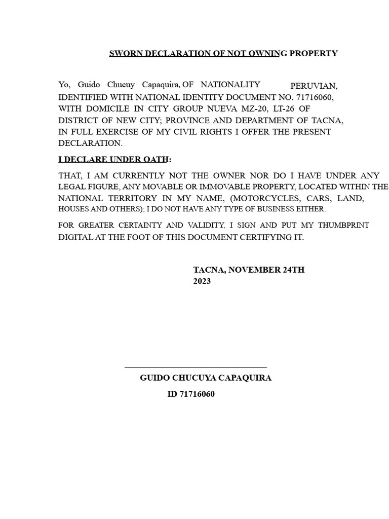 Affidavit of No Assets | PDF