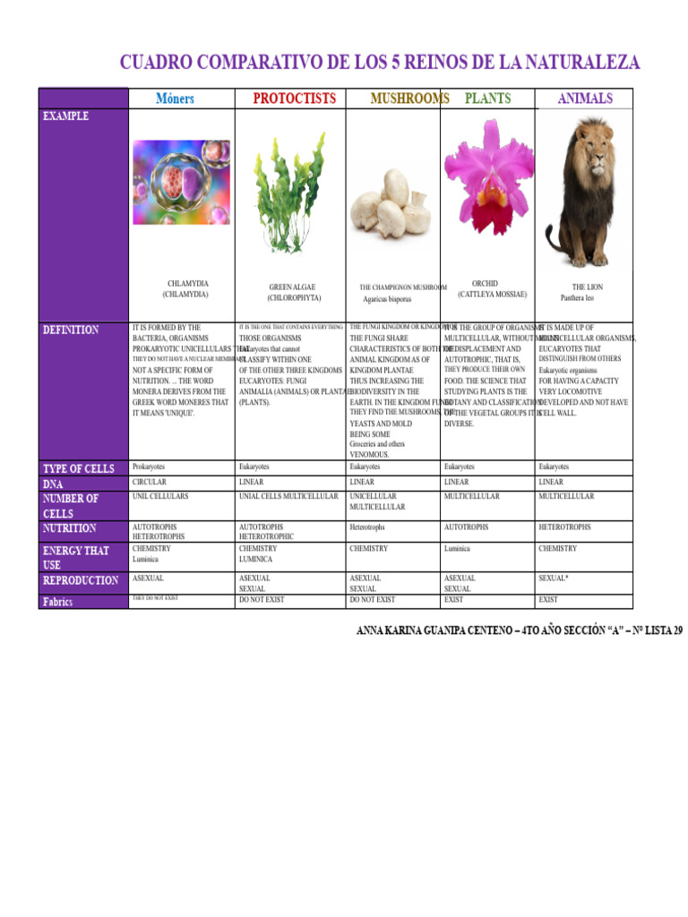 Comparative Table of The 5 Kingdoms | PDF | Eukaryotes | Cell (Biology)