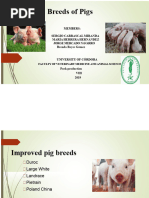 Classifying Swine Breeds for Production | PDF | Pig | Livestock