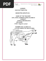 Monogastric vs Polygastric Digestive Systems | PDF | Digestion | Ruminant
