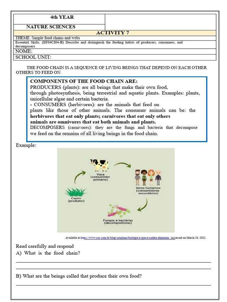 Activity 7 Natural Sciences Theme Simple Food Chains and Webs 4th Grade ...