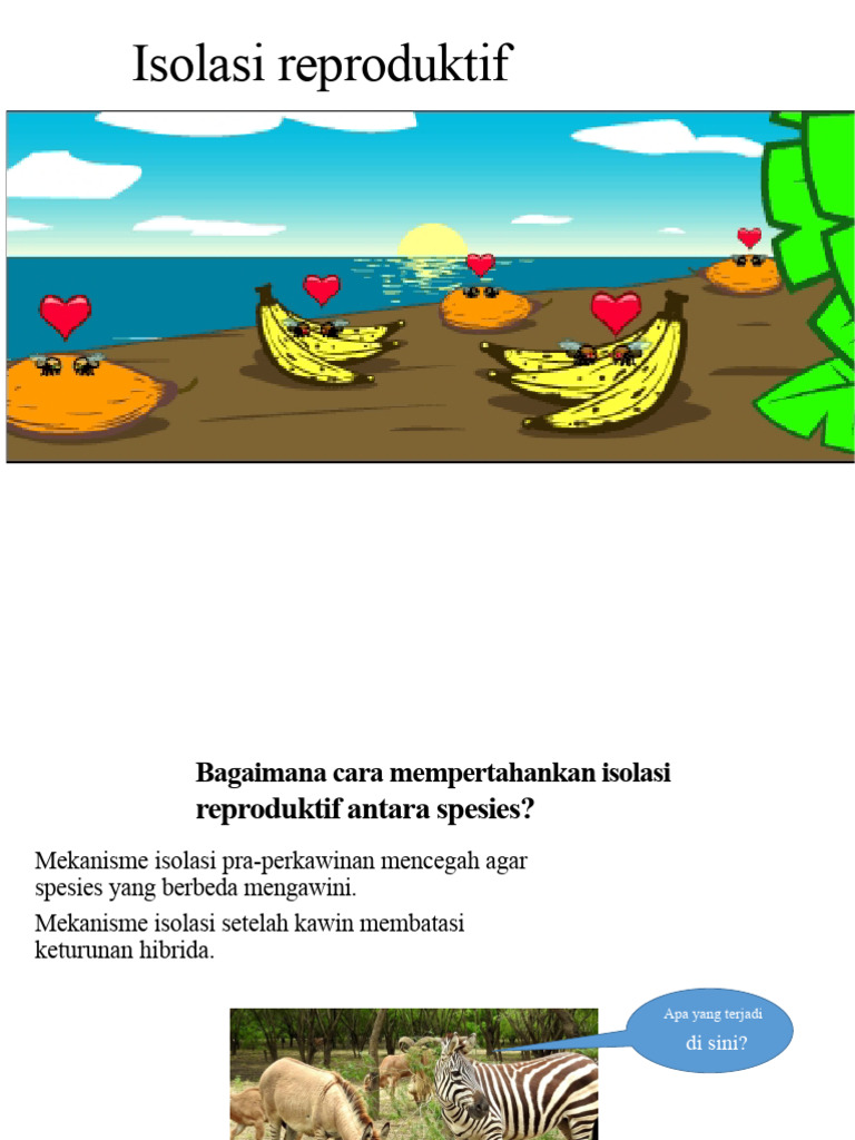 Isolasi Reproduktif-4 | PDF