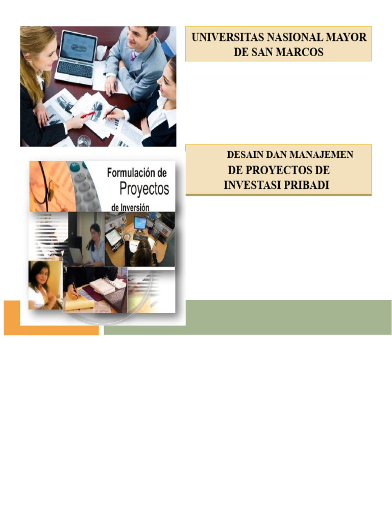 Proyek Investasi Swasta.ppt | PDF