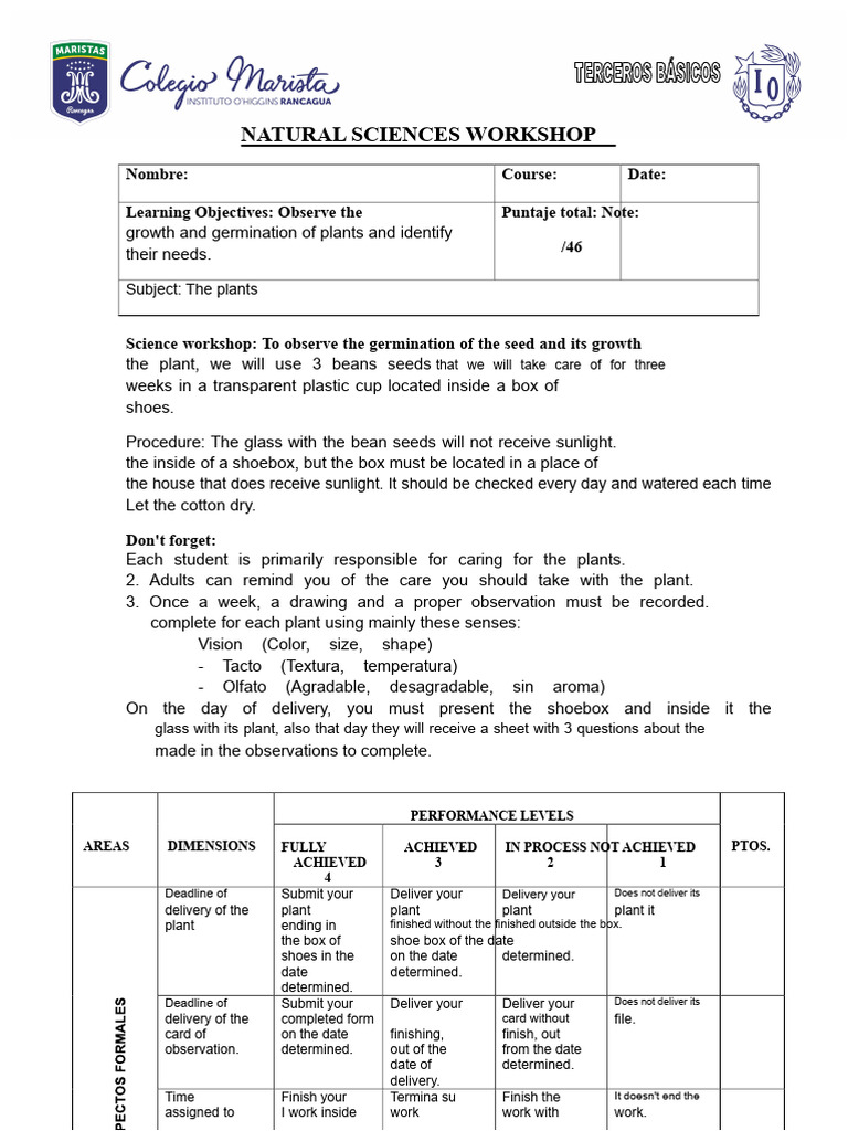 Plant Growth Observation Workshop | PDF