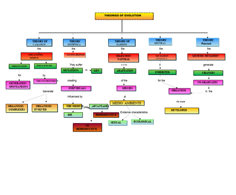 Conceptual Map Evolution Theories | PDF | Evolution | Natural Selection