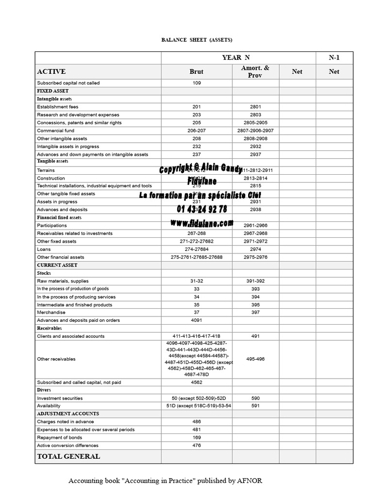 Comprehensive Balance Sheet Overview | PDF | Debt | Balance Sheet