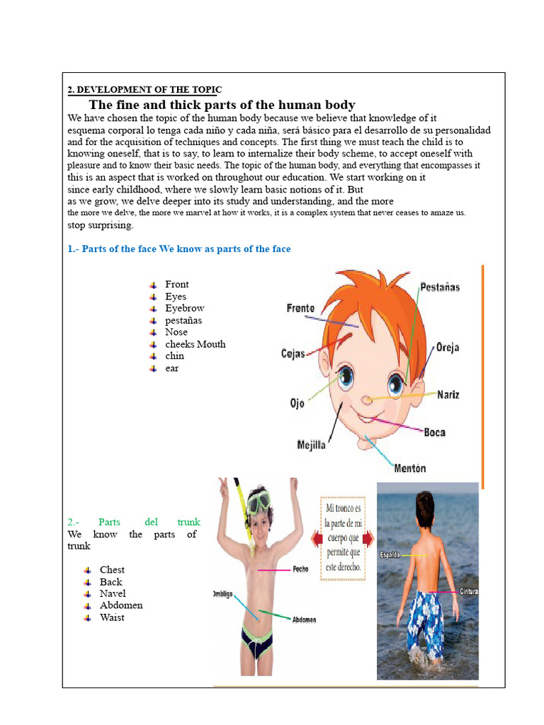 The Fine and Coarse Parts of The Face | PDF