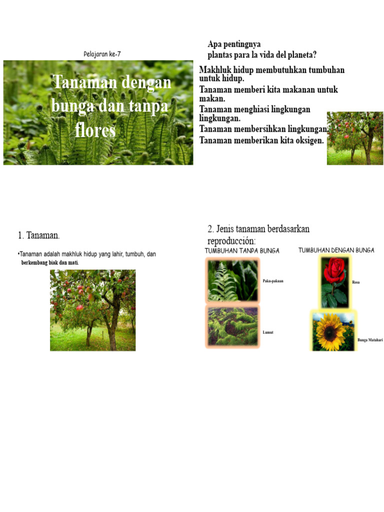 Pelajaran No. 7 Tanaman Berbunga Dan Tidak Berbunga | PDF