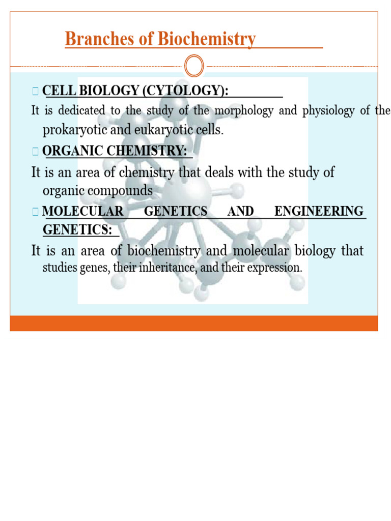 Branches of Biochemistry | PDF
