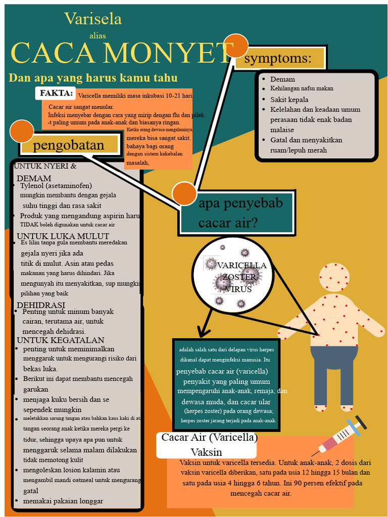 Gejala dan Pengobatan Cacar Air | PDF