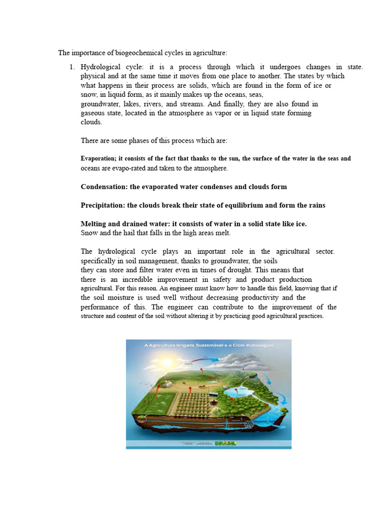 The importance of biogeochemical cycles in agriculture | PDF | Soil | Water