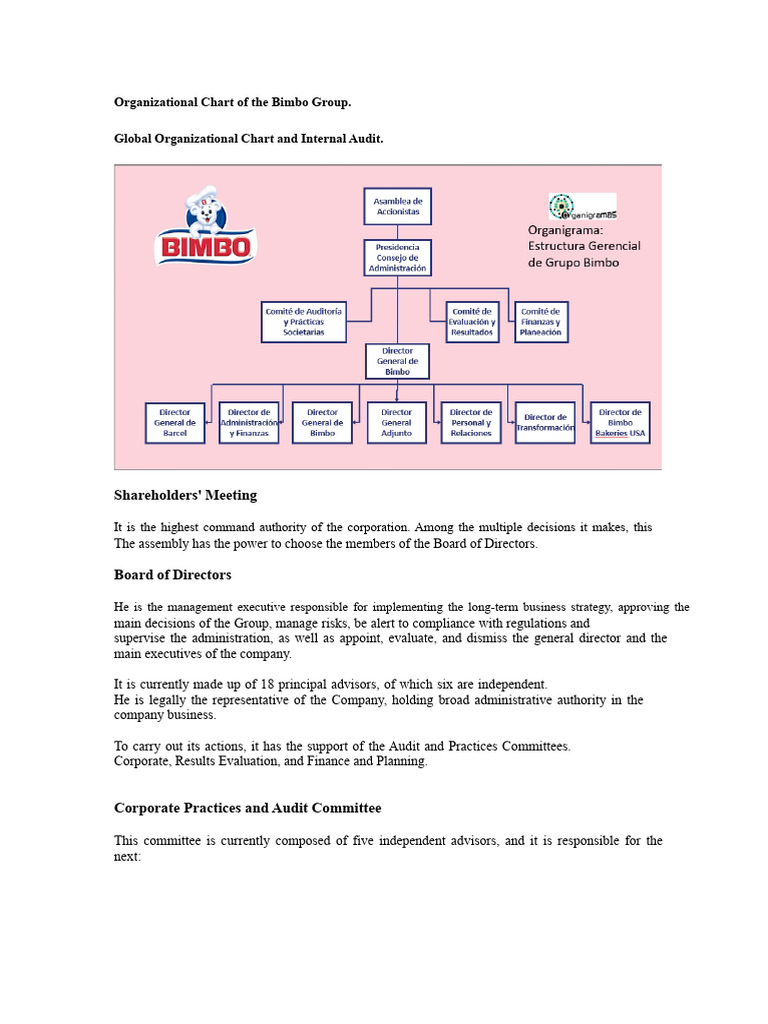 Global Organizational Chart and Internal Audit. | PDF | Audit ...