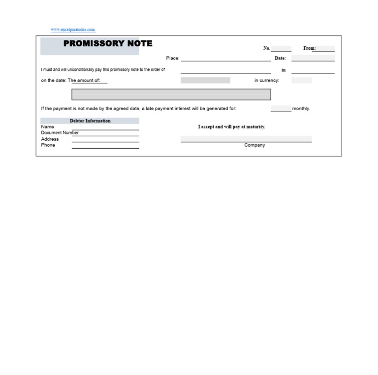 Promissory Note Format PDF | PDF