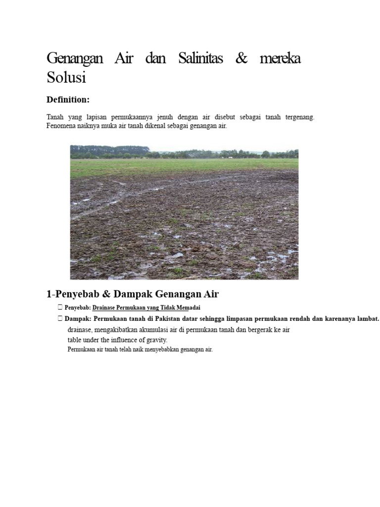 Penyebab dan Solusi Genangan Air di Pakistan | PDF