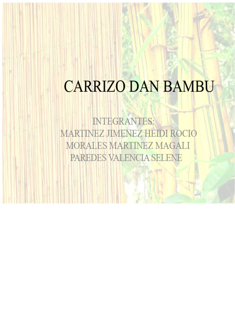 Carrizo Dan Bambu | PDF