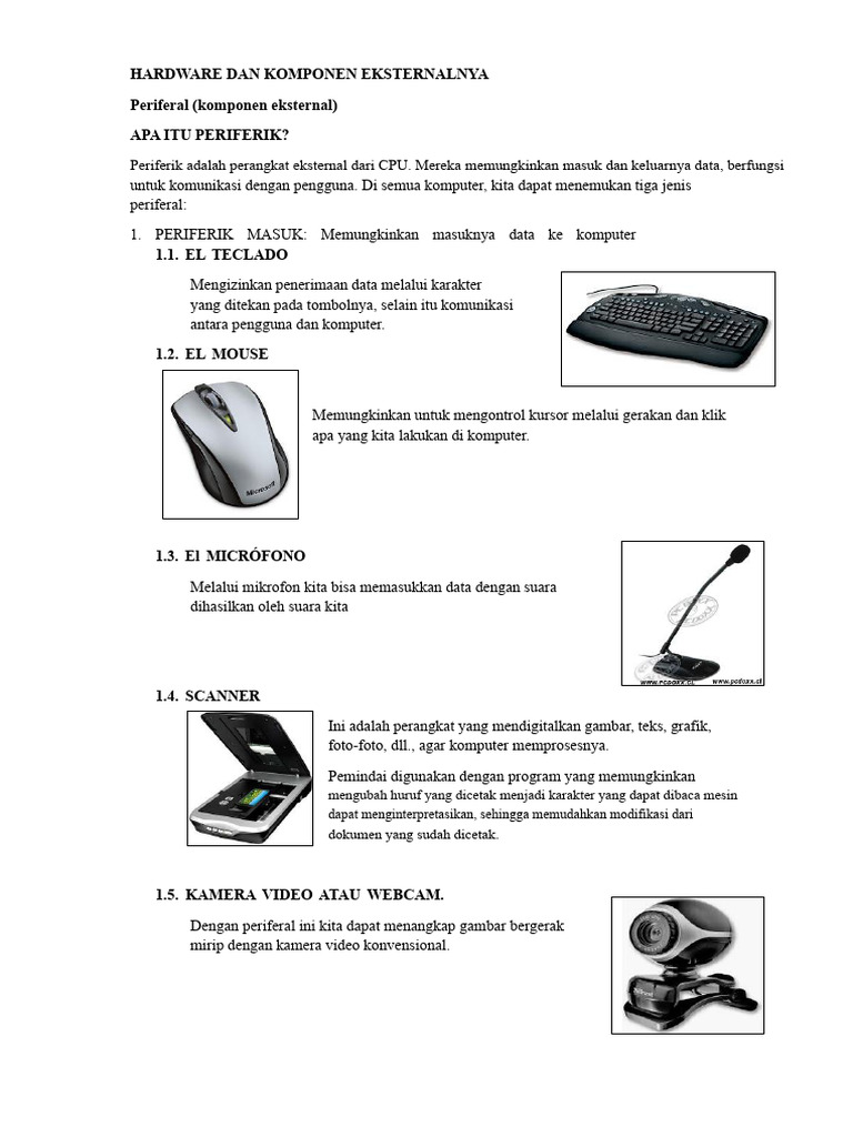 Perangkat Masukan | PDF