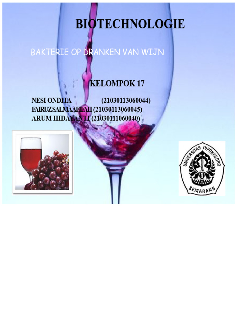 Wijn | PDF