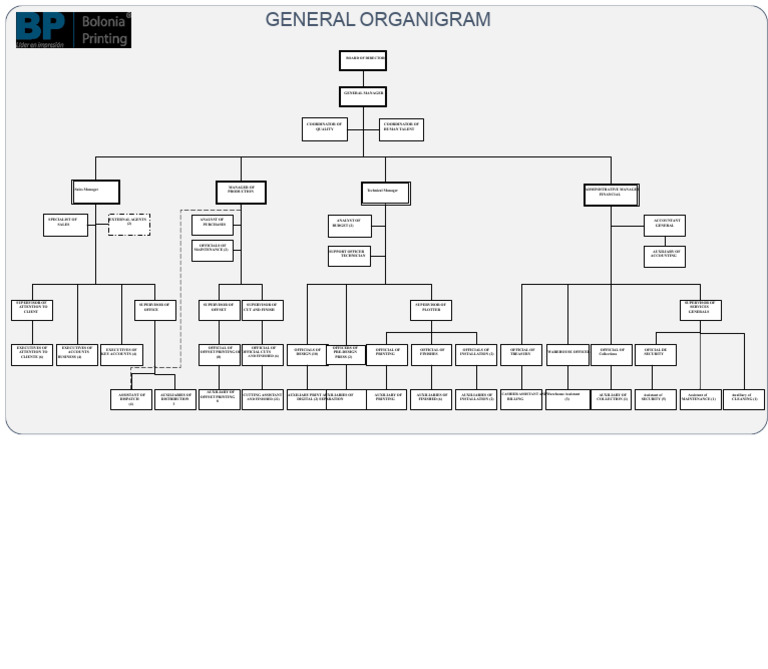 BP Organizational Chart | PDF | Business