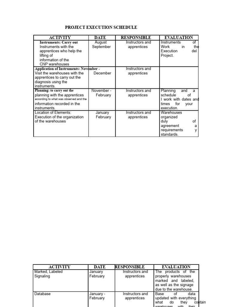 Project Execution Schedule | PDF | Computing | Information Science