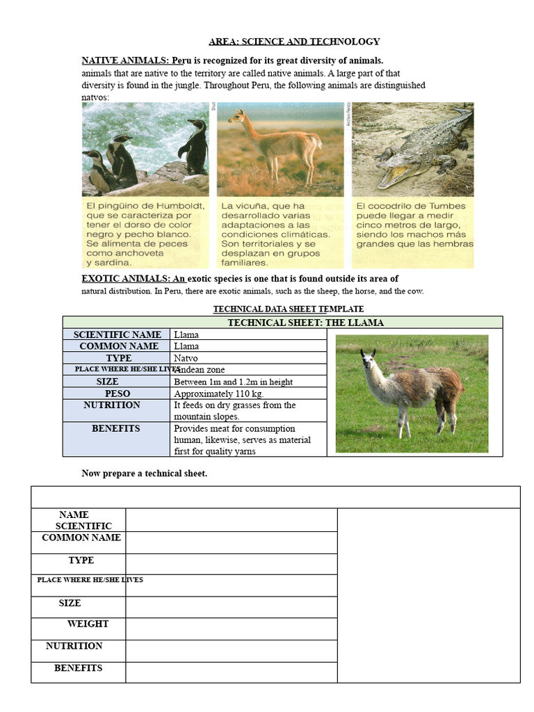 CYT FILE 15-07 | PDF