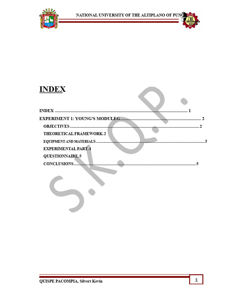 Physics Laboratory II - Young's Modulus Practice UNA-PUNO | PDF | Young ...