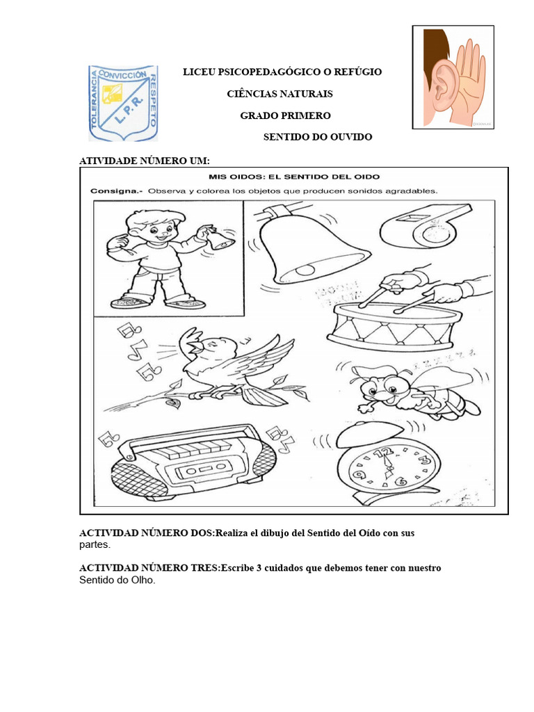 Guia Sentido Da Audição | PDF