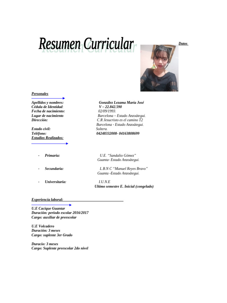 Resumen Curricular de Maria e | PDF