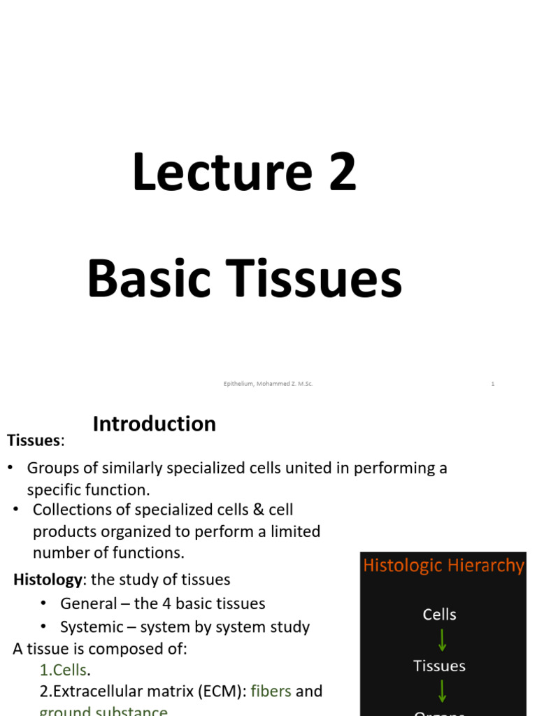 Epithelial Tissue, Lecture Note | PDF | Epithelium | Tissue (Biology)