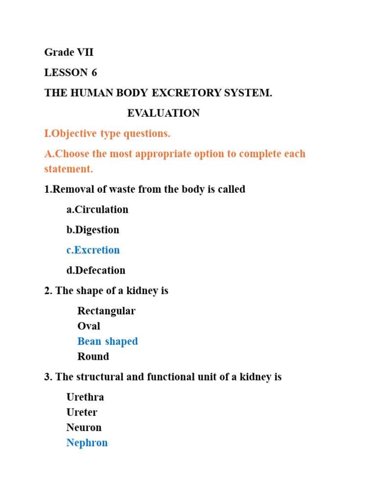 Excretory System: Grade VII Lesson Guide | PDF | Urinary System | Kidney
