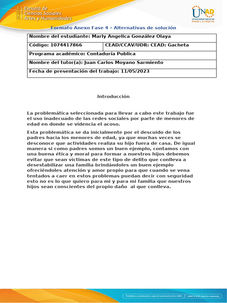 Anexo 3 - Formato Anexo Fase 4 | PDF