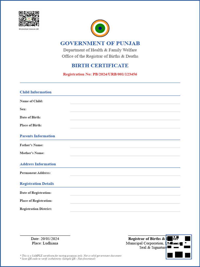 Government of Punjab: Birth Certificate | PDF