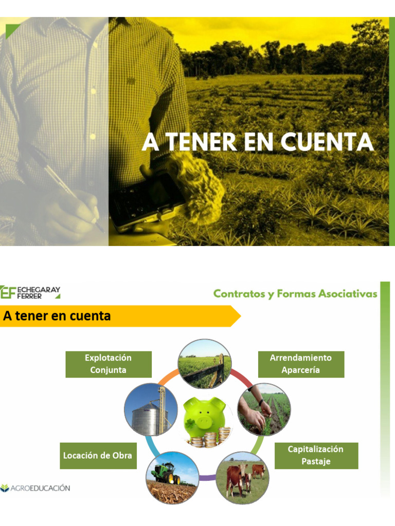 Material Extra de CONTRATOS EN EL AGRO | PDF | Agricultura